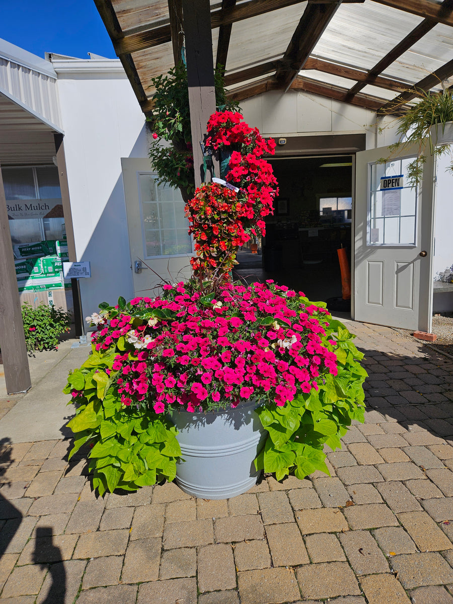 Surviving The Hot Months – Mile Tree Lawn & Garden