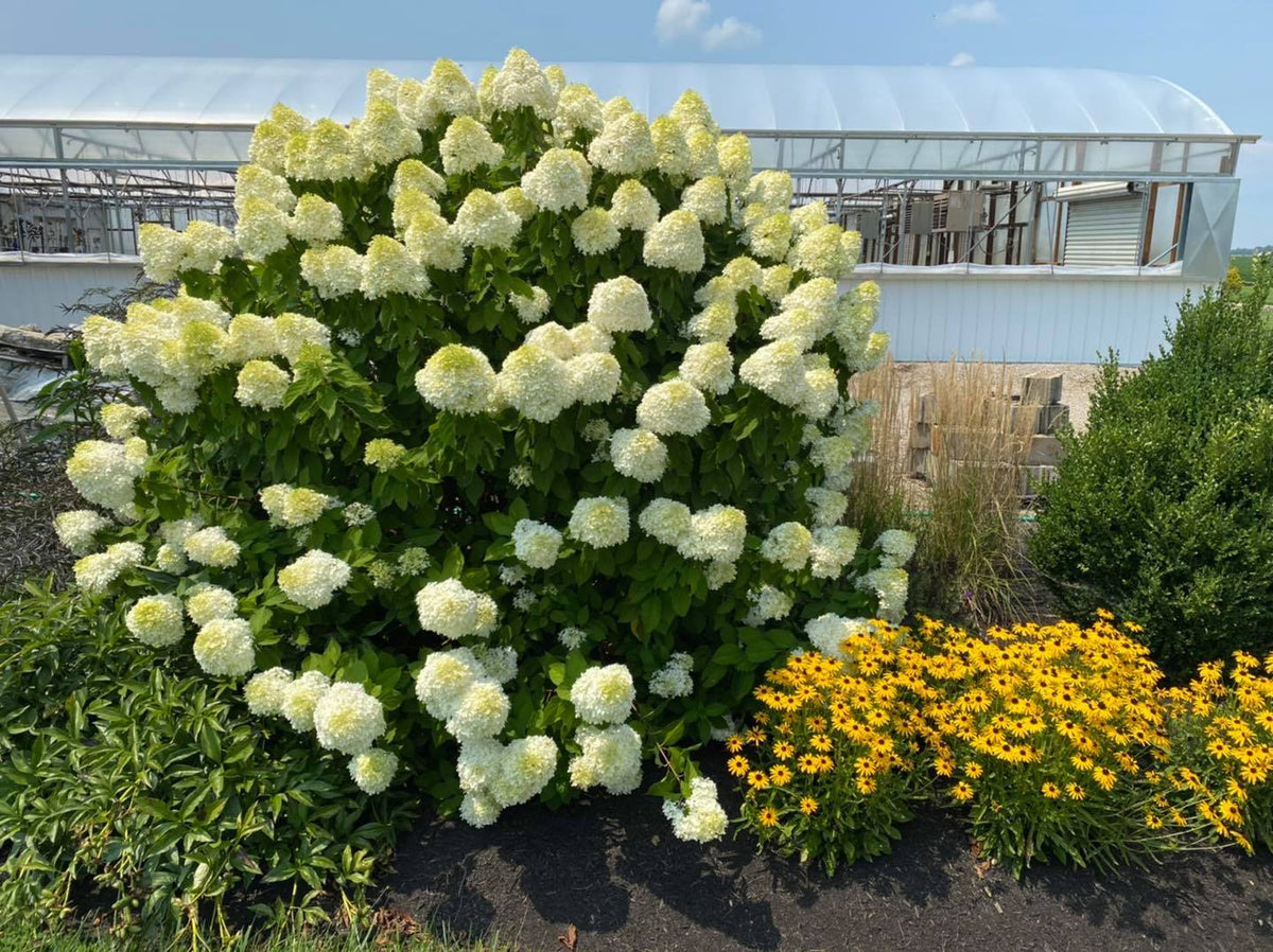 It's never too late to add to your landscape. The question is, "What s ...